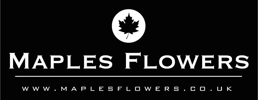 Maples Flowers - Media Dashboard