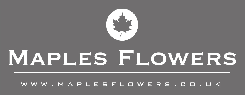 Maples Flowers - Media Dashboard